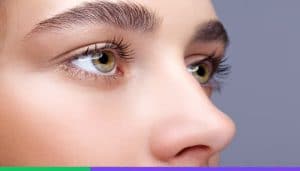 Different Nose Shapes and Their Characteristics - Floramedtour